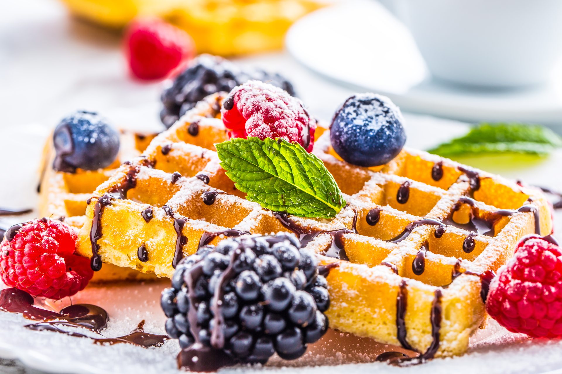 What to Look for When Changing Waffle Program Providers - Sagra Waffle ...